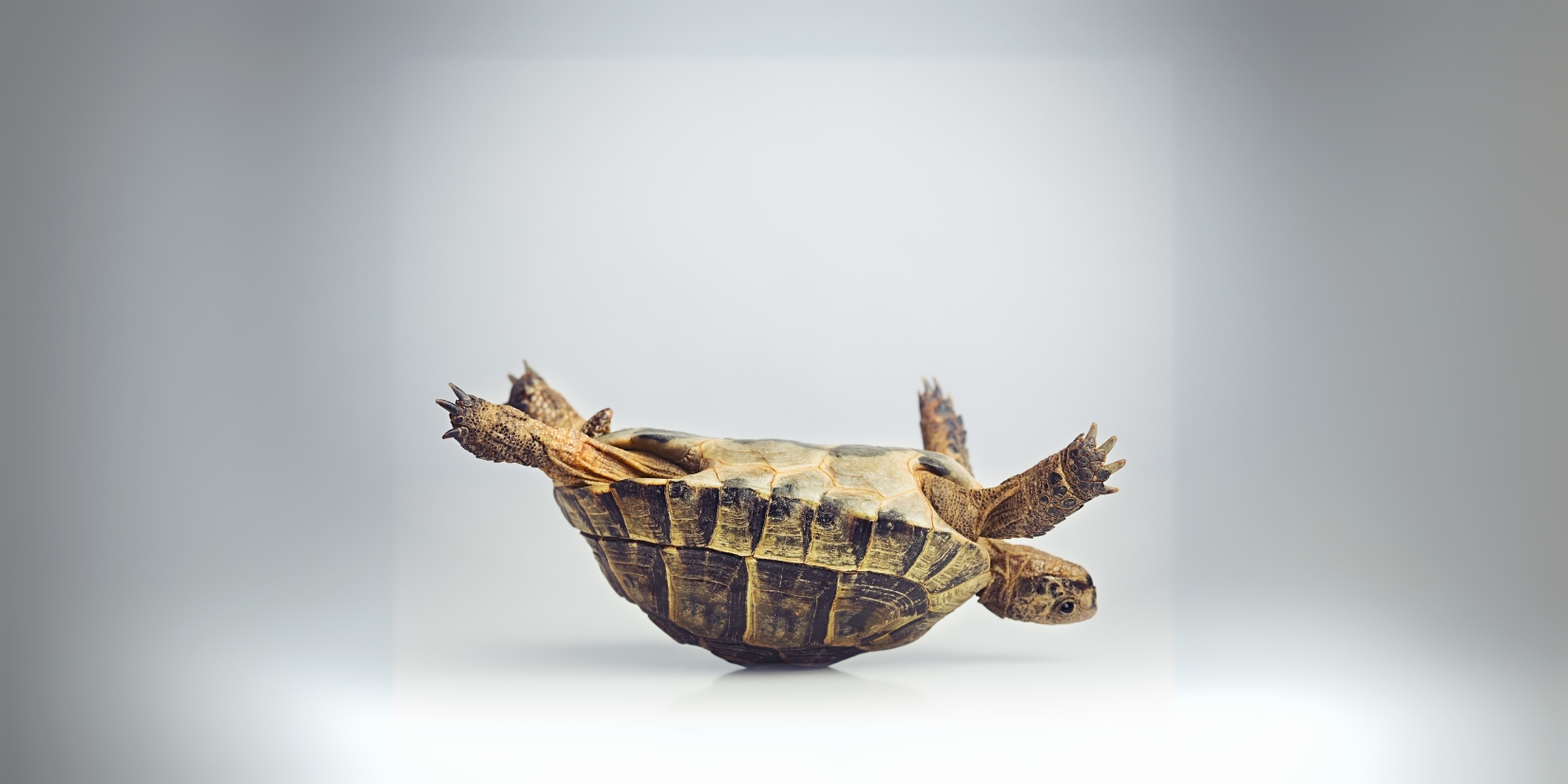 Break Free from Feeling "Stuck" - Mind Body Centers